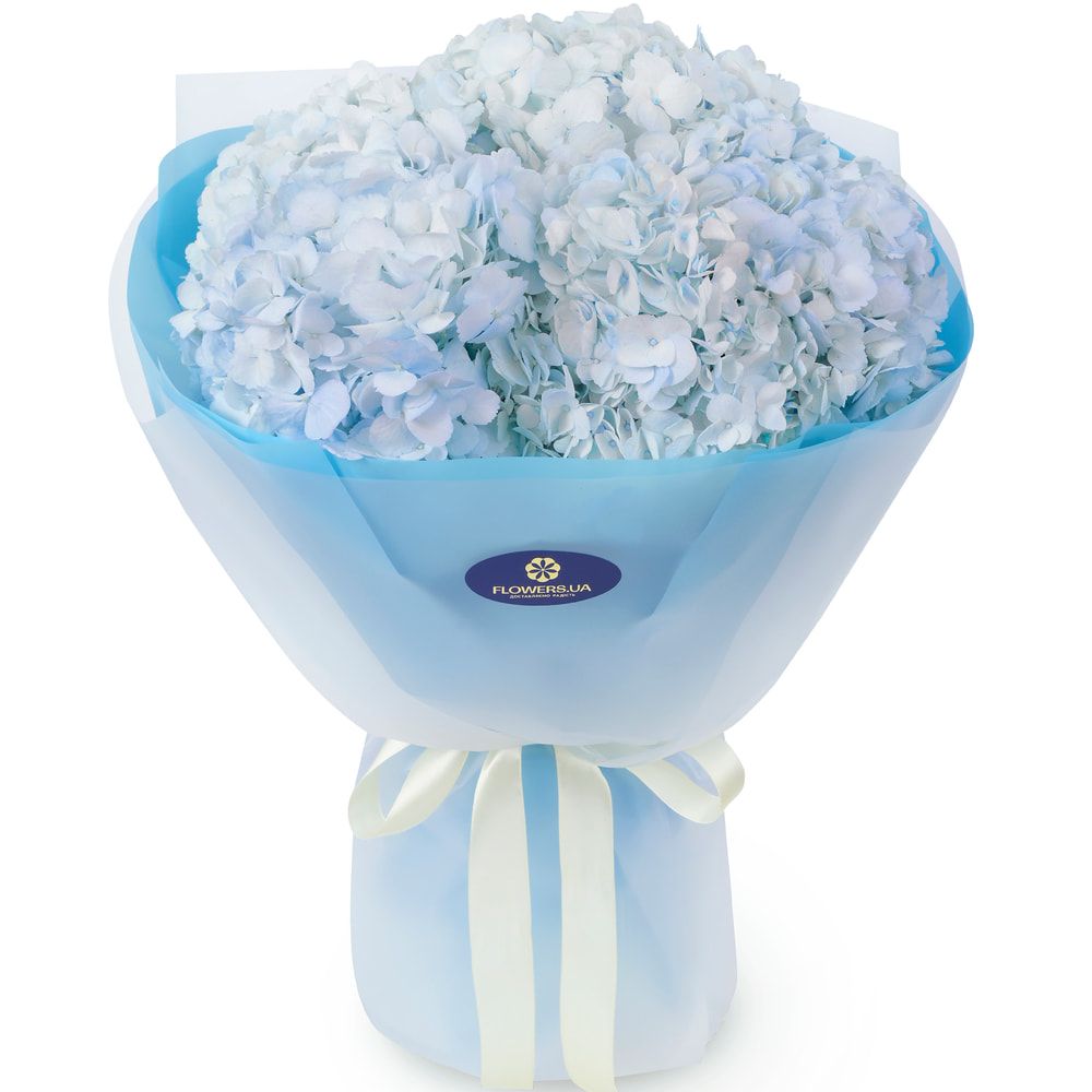 "Blue ball" bouquet — order delivery to Ukraine. Buy Now! Price, photos ...