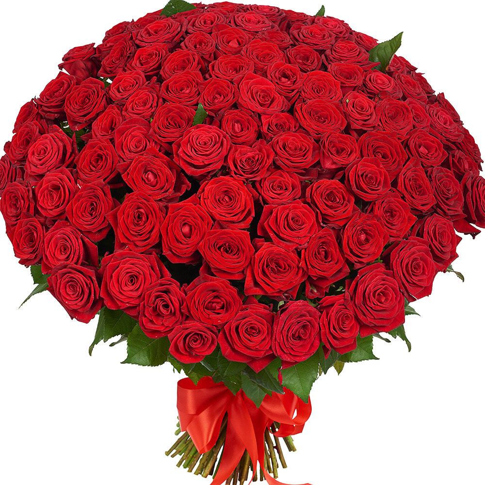 Buy 101 red roses in Kyiv — premium bouquet with delivery